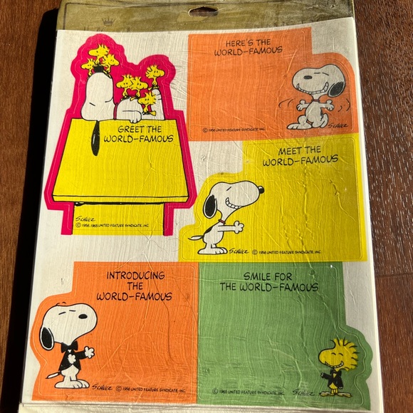 Hallmark | Other | Hallmark Peanuts Gang Snoopy Woodstock Vintage Name ...